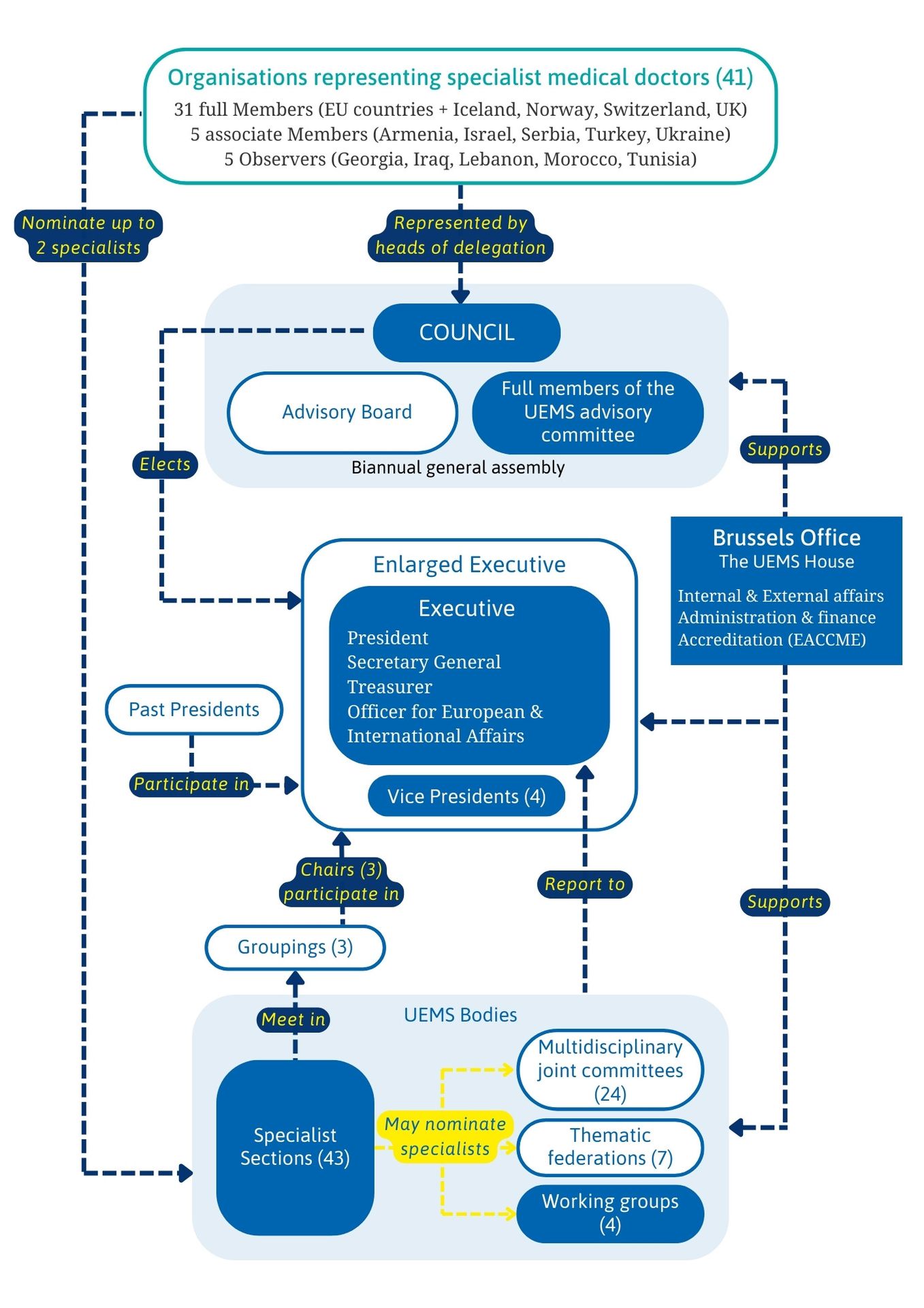 Our structure | uems.eu
